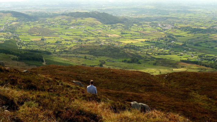 Slieve Gullion Giants Lair and Adventure Playpark | CAP.CO