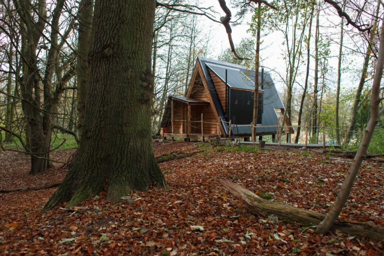 Treehouse Accommodation at Whitlingham Broad | We are CAP.Co