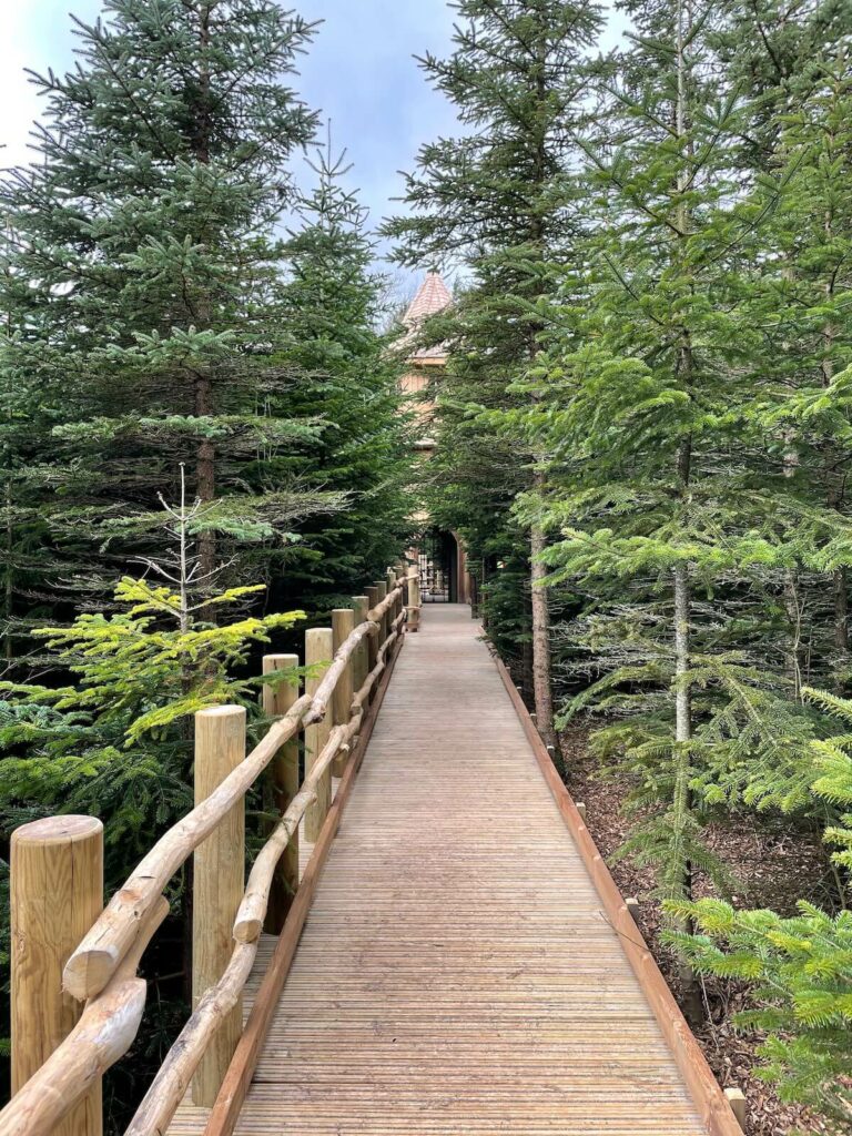 The Plotters Forest opens | We are CAP.Co | Creating Adventurous Places