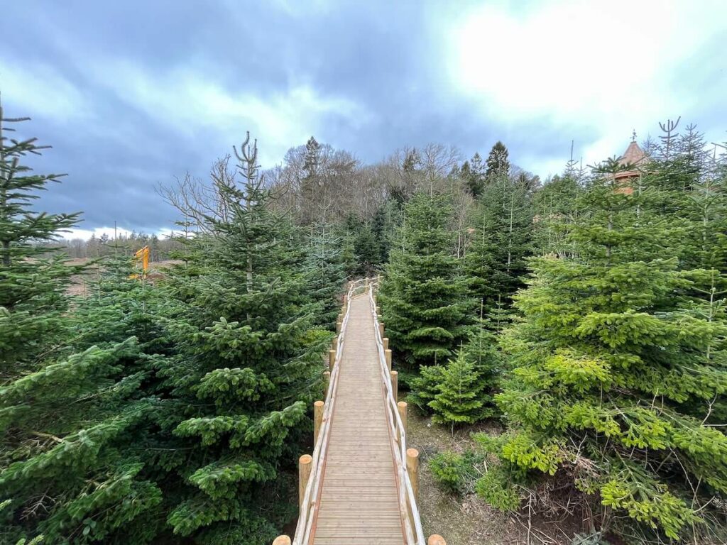 The Plotters Forest opens | We are CAP.Co | Creating Adventurous Places