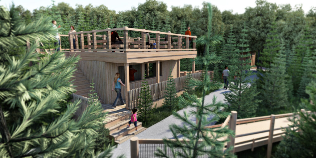 The Plotters' Forest at Raby Castle | CAP.CO