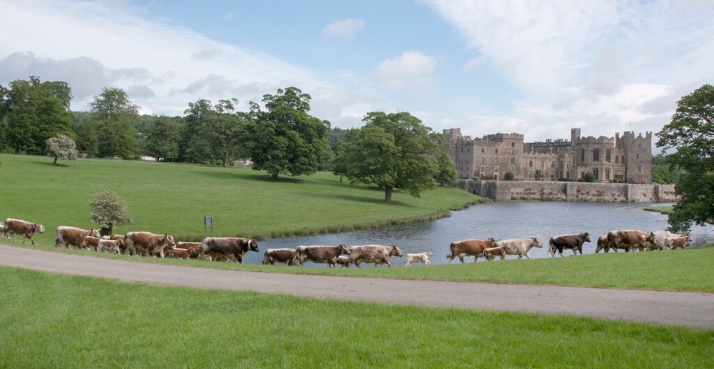 The Plotters' Forest at Raby Castle | CAP.CO