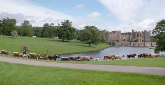 The Plotters' Forest at Raby Castle | CAP.CO