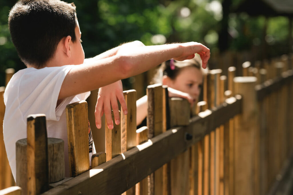 Dumfries House Adventure Play | CAP.CO