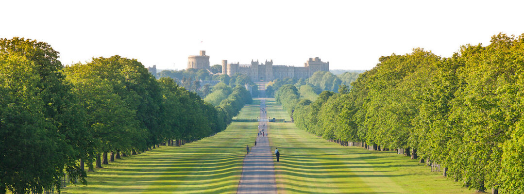 Adventure Play at Windsor Great Park | We are CAP.Co
