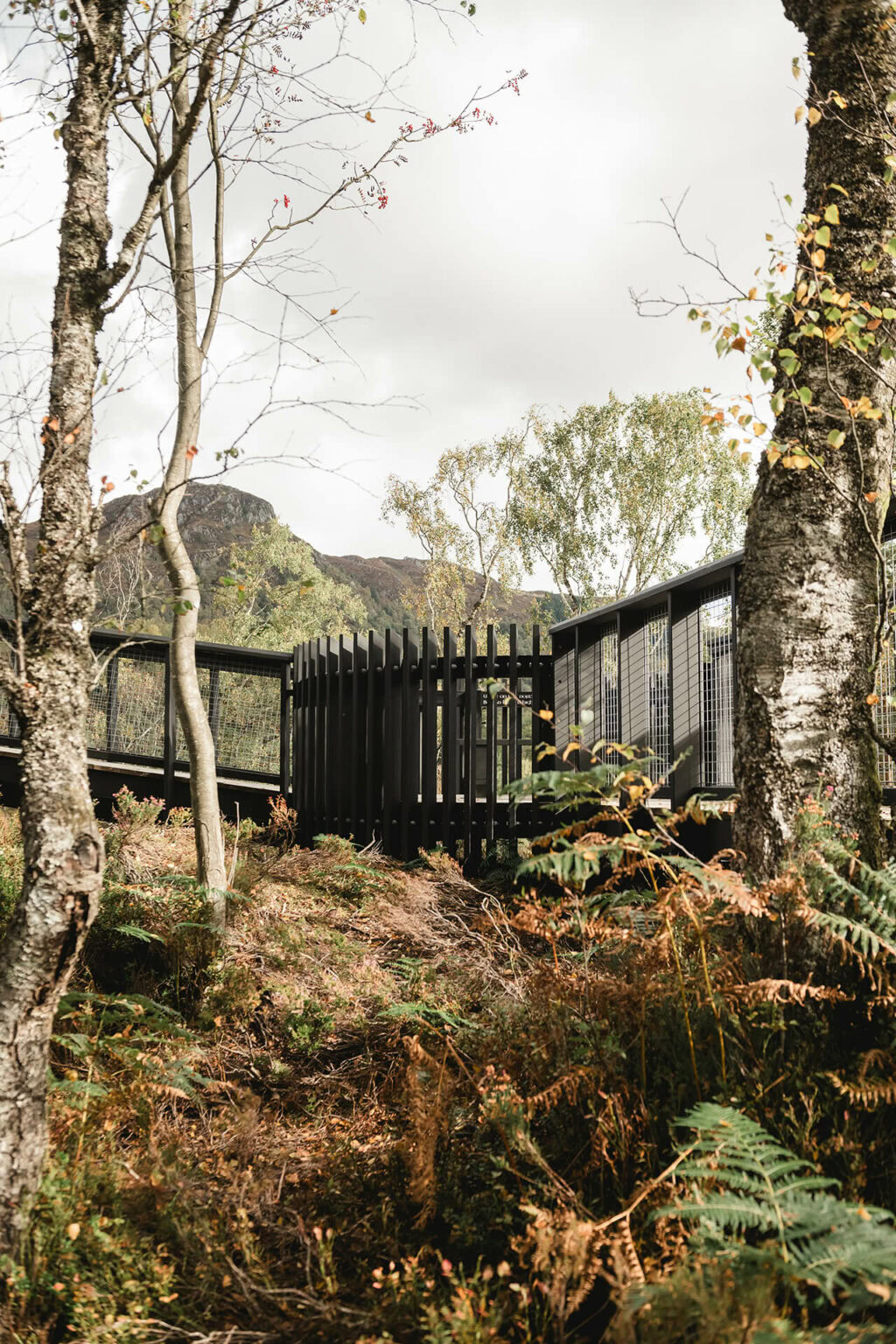 Latest Projects | We are CAP.Co | Creating Adventurous Places